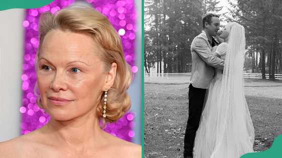 Pamela Anderson and Dan Hayhurst: a complete relationship timeline ...