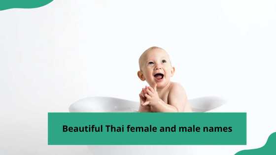 130+ beautiful Thai female and male names with meanings - Legit.ng