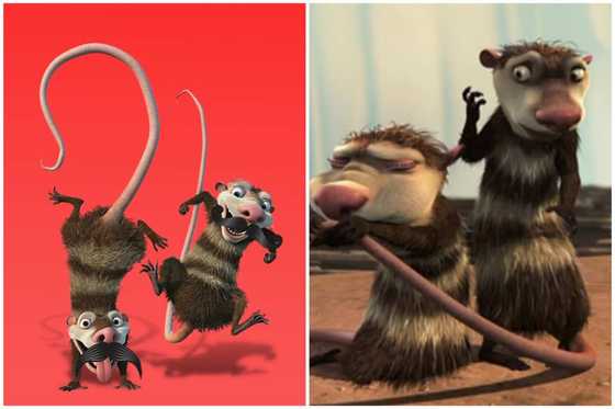 20 most popular Ice Age characters that made the franchise so iconic ...