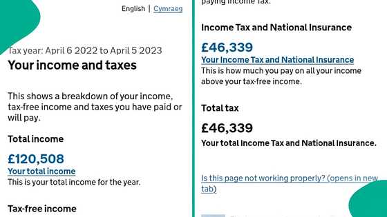 New 2026 Tax Law: UK-based Lady Earned N174.1m Shows How Much Tax She ...