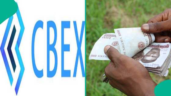 Cbex: Man Sends Message To People Who Lost Money in Alleged Ponzi ...