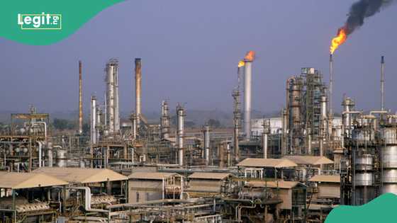 Top 10 Functional Refineries in Nigeria And Their Capacity in 2025 - Legit.ng