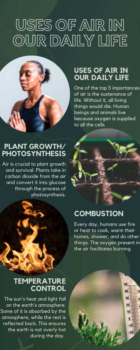 Uses of air in our daily life: Its importance and functions - Legit.ng