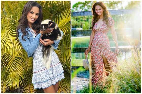 Does Bill Maher have a wife? The comedian’s relationship history - Legit.ng