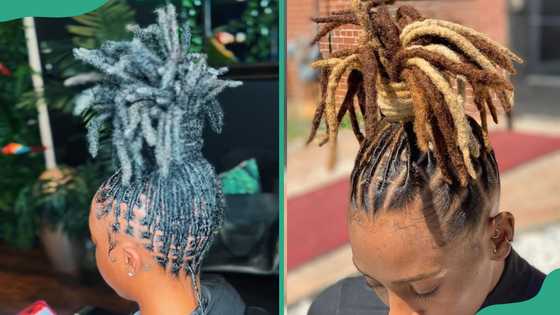 24+ updo loc styles for long, medium or short hair you must try soon ...