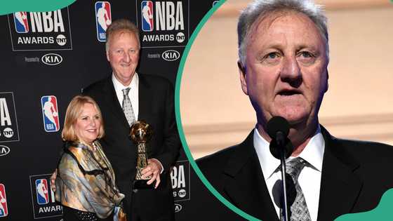 Who is Larry Bird’s wife? Get to know more about Dinah Mattingly - Legit.ng