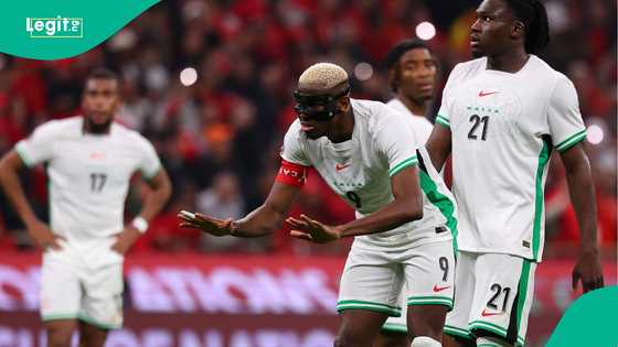 Ex-Nigeria International Adepoju Explains Why Victor Osimhen Cannot Be ...