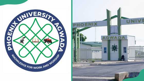 Phoenix University, Agwada courses, admission requirements and ...