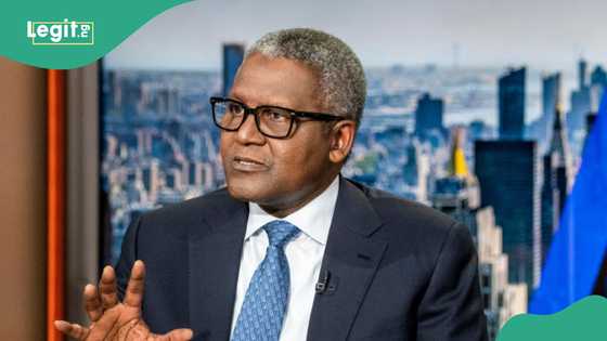 Aliko Dangote Gains $1.3 Billion in Two Weeks, Net Worth Hits $35 ...