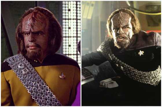 33 characters with big foreheads from anime, cartoons and films - Legit.ng