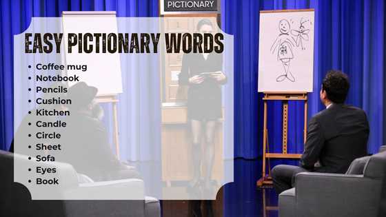 490+ Pictionary ideas: easy, medium and hard ideas for every category ...