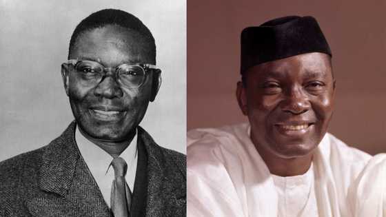 Top 30 heroes and heroines in Nigeria and their contributions - Legit.ng