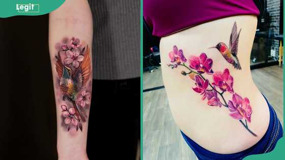 25 best hummingbird tattoo ideas and what they symbolize - Legit.ng
