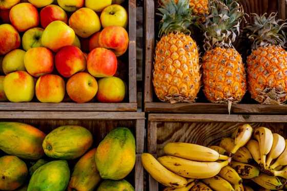 7 classes of food with examples and functions - be in the know - Legit.ng