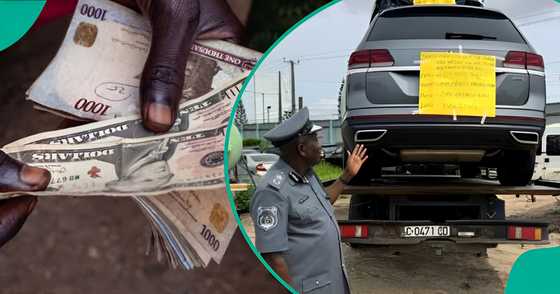 CBN Slashes Customs Dollar Exchange Rate To Clear Goods at Ports - Legit.ng