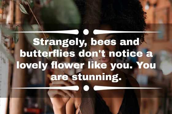 250+ you are beautiful messages and quotes that will make your loved ...