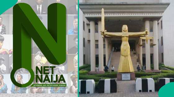 NetNaija Owner Faces Major Court Drama as Judge Orders His Detention ...