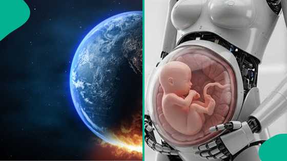 Scientists to Develop World’s First Pregnancy Robot that Could Give ...