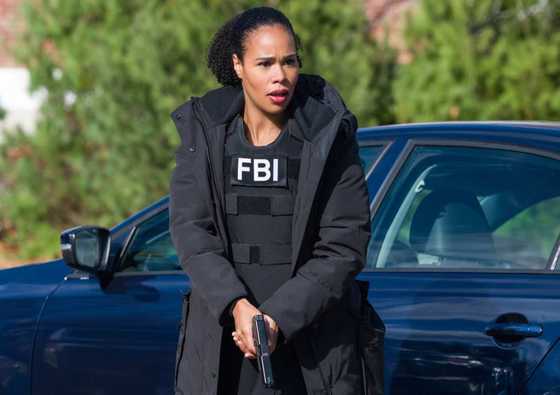 Roxy Sternberg’s biography: A look inside FBI: Most Wanted star's relationships and career ...