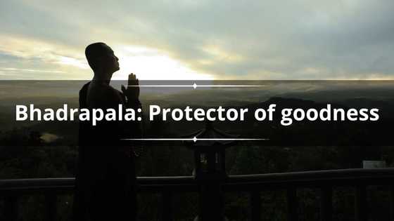 90+ awesome monk names with meanings from different traditions - Legit.ng