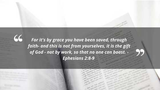 What are the different types of faith according to the Bible? - Legit.ng