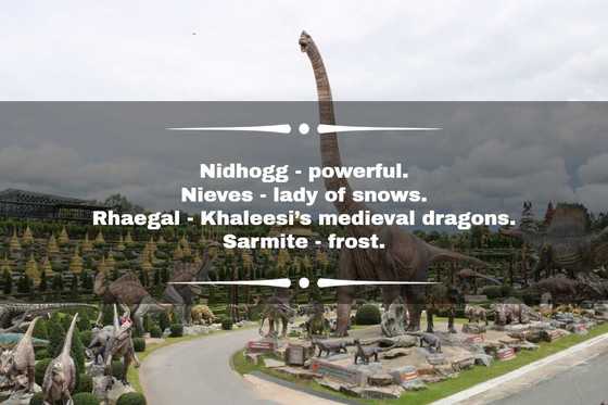250+ cool and famous dragon names, their meanings and origin - Legit.ng