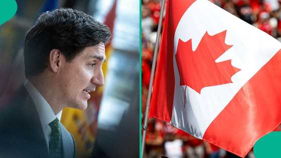 Canada’s Express Entry 2026: Full List Of Jobs And Categories ...