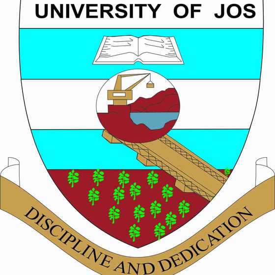 University of Jos courses and school fees for 2024/2025 - Legit.ng