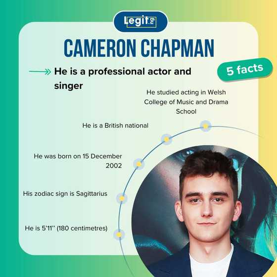 Cameron Chapman’s age, wife, family, movies and TV shows - Legit.ng