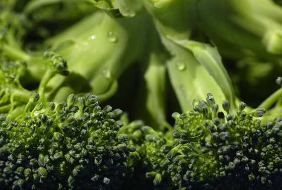 How to tell if broccoli is bad: the smell and color of a spoiled ...