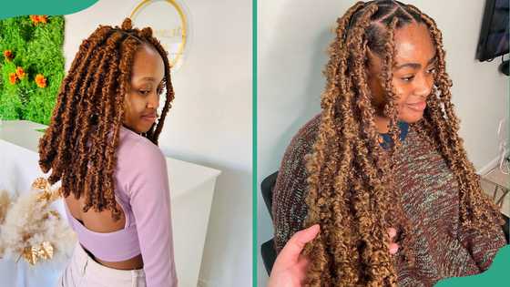 40+ unique butterfly locs hairstyles that will blow everyone away ...