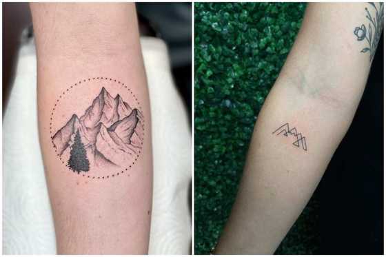 30+ great tattoos that represent growth and change - Legit.ng
