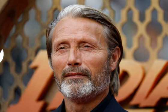 50 attractive older actors over 50 who could still get it - Legit.ng