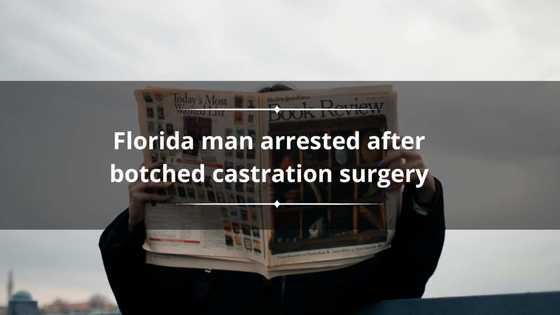 40 craziest Florida Man headlines that have kept the meme alive - Legit.ng