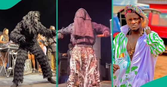 Video of Portable Zazu’s Entrance at His Lagos Concert Trends: “Na You ...