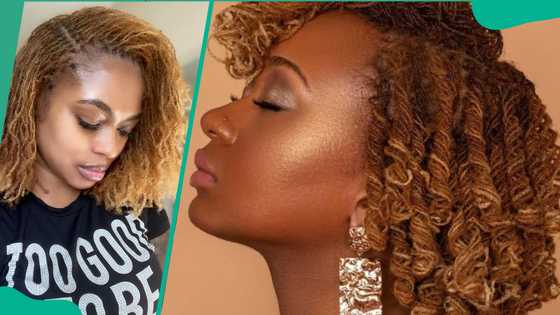 40 great sisterlocks styles that are trendy yet easy to pull off - Legit.ng