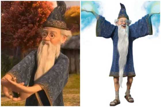 33 iconic Shrek characters every fan of the franchise will remember ...