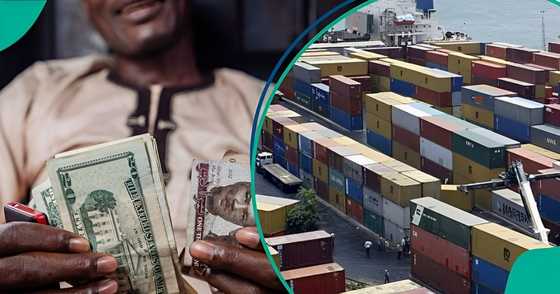 CBN Sets New Customs Exchange Rate To Clear Goods, Importers To Pay ...