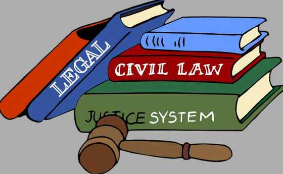 6 types of constitution: their advantages and disadvantages - Legit.ng