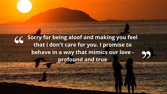 Apology messages: 170 romantic sorry messages for your love - Legit.ng