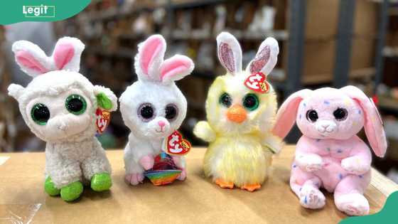 40 nostalgic 2000s toys to remind you of the good old days - Legit.ng