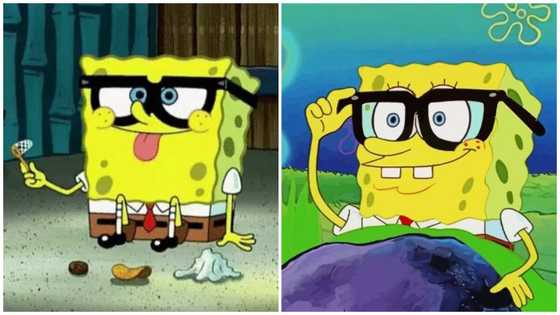 33 cartoon characters with glasses that are absolutely iconic - Legit.ng