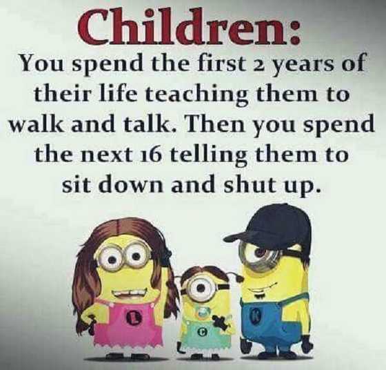 30 funniest minion memes every Facebook mom will be obsessed with ...