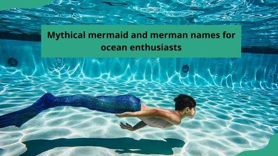150+ mythical mermaid and merman names for ocean enthusiasts - Legit.ng