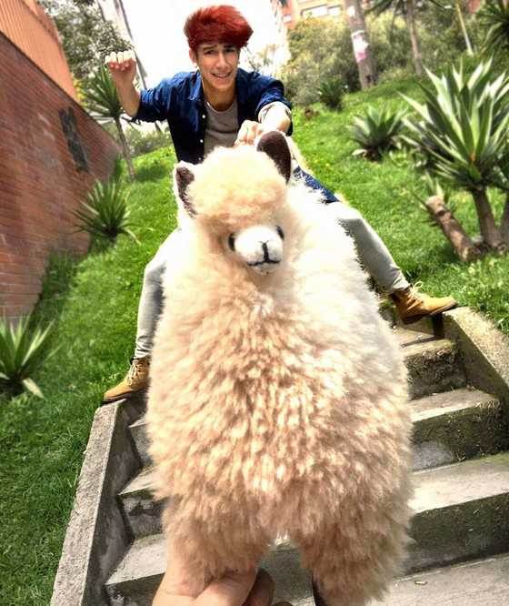 Rebal D’s biography: age, height, real name, sexuality, ethnicity ...