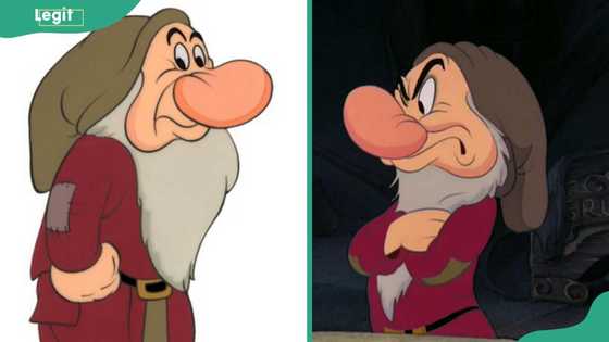 40+ big nose cartoon characters you definitely won't forget - Legit.ng