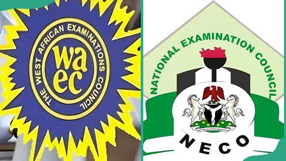 How much is WAEC and NECO registration in 2025? Comprehensive guide ...