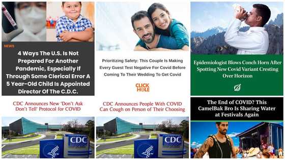 Funny fake news headlines that are sure to make you crack up - Legit.ng