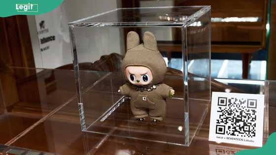 Just a toy? These 10 most expensive Labubu prove how insanely valuable ...