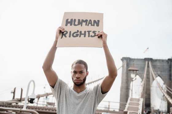 Agencies responsible for the protection of human rights: Full list ...